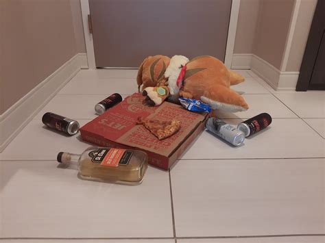 Meicoomon Digimon Real Life Highres Photo Medium Alcohol Cat Energy Drink Faceplant