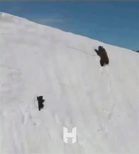 Thaveesha Yanith On Linkedin Success Is The Culmination Of Countless