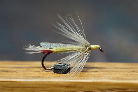 The Eh Polly Rosborough Collection Old Hat Fly Tying