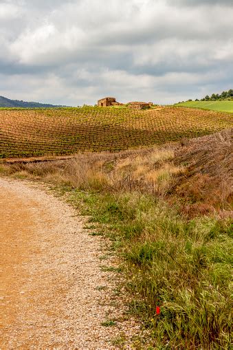카미노 데 산티아고에 있는 포장 되지 않은 국가도로 스페인 나 바르의 빌라 마요르와 로스 아 르 코스 사이 세인트 제임스의 방법 들에 대한 스톡 사진 및 기타 이미지