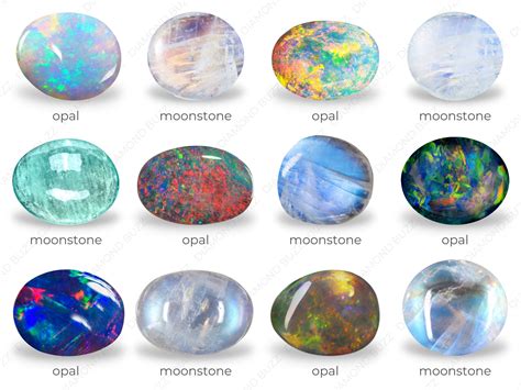 Moonstone Vs Opal Whats The Difference Diamond Buzz