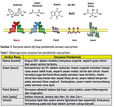 KARAKTERISTIK SENSORIK BIJI KOPI Coffee Cacao Training Center