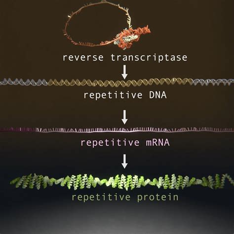 My Favourite Discovery Ever Has Just Come Online Can I Please Tell You About Some Seriously