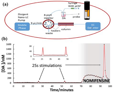 Advancements In Brain Research The In Vivoin Vitro Electrochemical Detection Of Neurochemicals