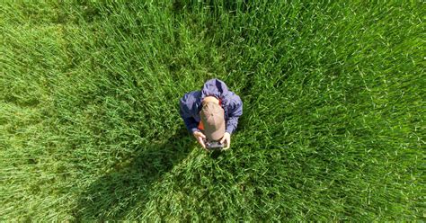 Exploring Lidar Drone Tech In Surveying Mapping