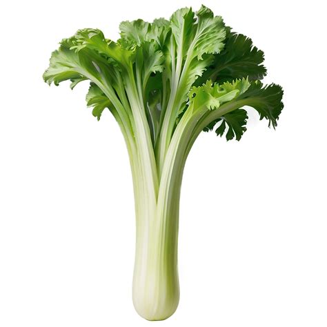 Download Ripe Celery Png 66