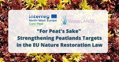 “for Peats Sake” Strengthening Peatlands Targets In The Eu Nature