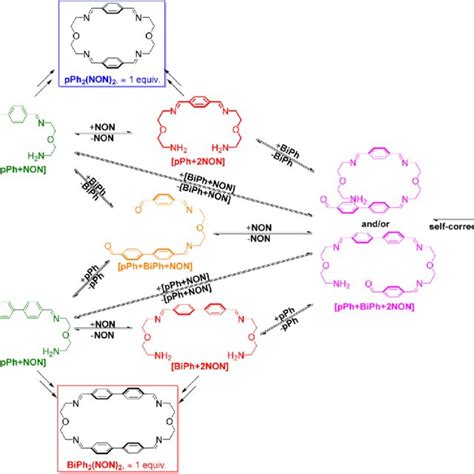 Scheme 4 Self Correction And Dissociation Processes Showing The
