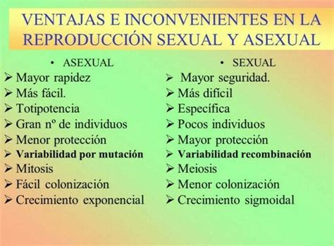 Las 5 Ventajas De La Reproducción Sexual ¿por Qué Es Tan Importante
