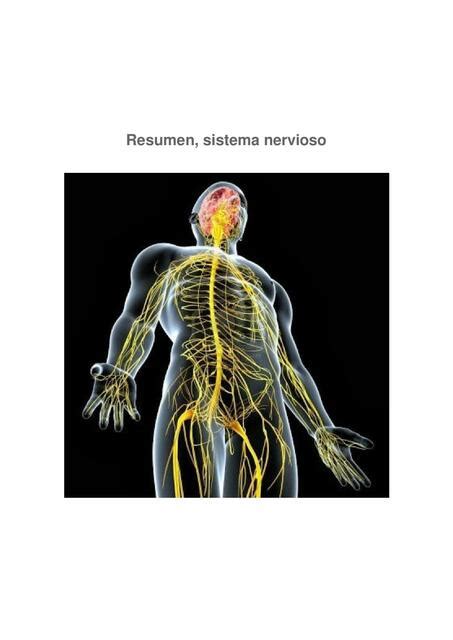 Sistema Nervioso Resumen Edwin Jiménez Udocz