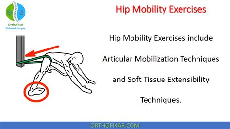 Hip Mobility Exercises Orthofixar 2025