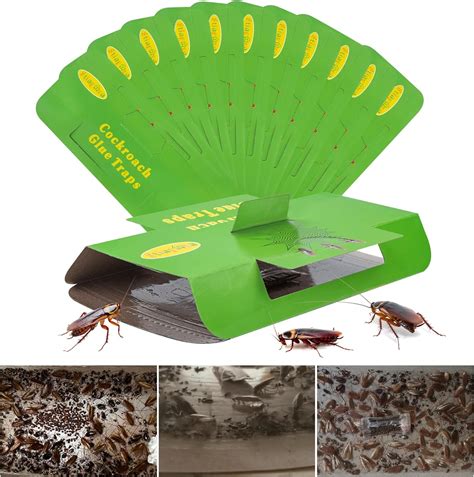24 Pack Roach Traps Indoor Roach Killer Indoor Infestation