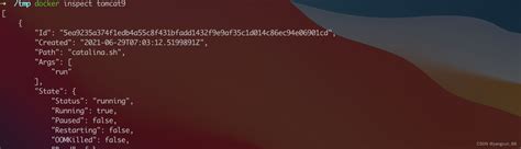 六、docker学习 Docker容器（container）容器 Docker Csdn博客