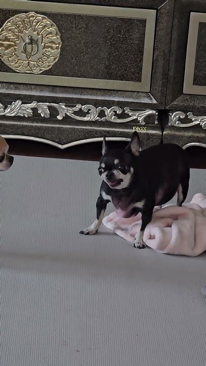 우와정말무섭다 Youtube