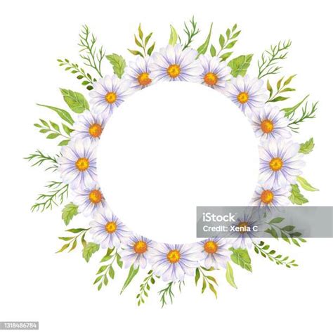 데이지와 잎꽃 화환 수채화 데이지 화환 흰색 배경입니다 수채화 꽃 식물 도면 카모마일 수채화 0명에 대한 스톡 벡터 아트 및 기타 이미지 Istock