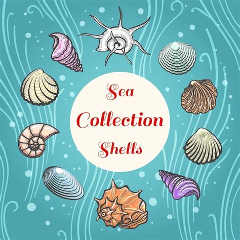 Premium Vector Sea Shells Composition With Text