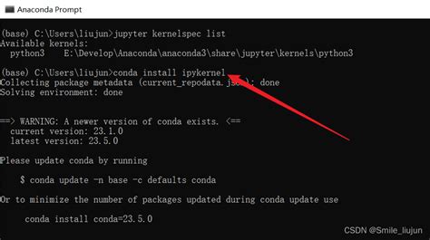 创建使用 jupyter notebook 虚拟环境内核 jupyterhub创建一个内核 csdn博客