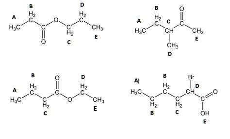 SOLVED H3C N CH3 N CH3 N CH3 N HsC N H3C N Hz N OH N CH3