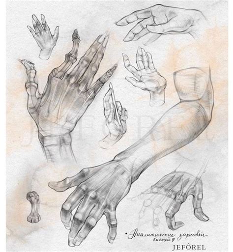 Рисуем руки аналитический рисунок анатомия руки анатомия для