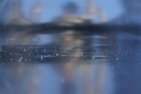 Assignment Iv Simberkitty4