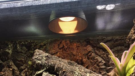 How Many Watts Does A Lamp Use Guide To Know How Much Power Use A Lamp Lightingvilla Com