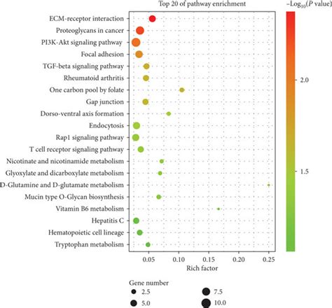 Kyoto Encyclopedia Of Genes And Genomes Analyses Of Se Target Genes Download Scientific
