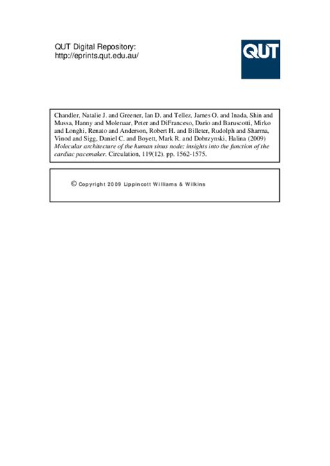 Pdf Molecular Architecture Of The Human Sinus Node Insights Into The Function Of The Cardiac