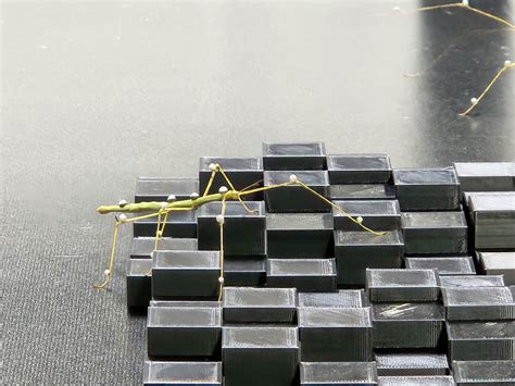 Visiting Neuro Robotics Lab At Tohoku University Japan Brain Vistec