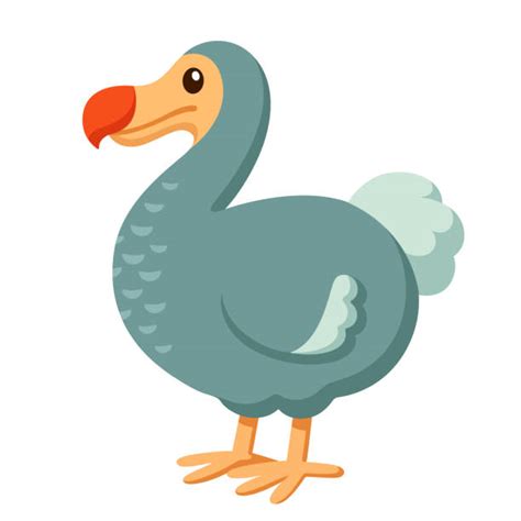 70 Dodo Birds Drawing Stock Illustrations Royalty Free Vector