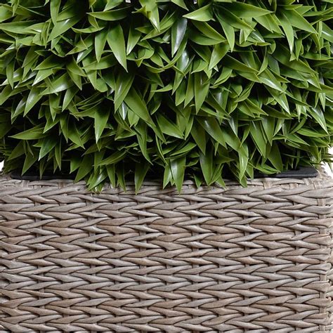 Enduraleaf 29 Faux Broadleaf Podocarpus Ball In 44 Basket Authenteak