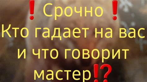 ⁉️КТО ГАДАЕТ НА МЕНЯ⁉️ЧТО ГОВОРИТ МАСТЕР⁉️ Таро расклад Youtube