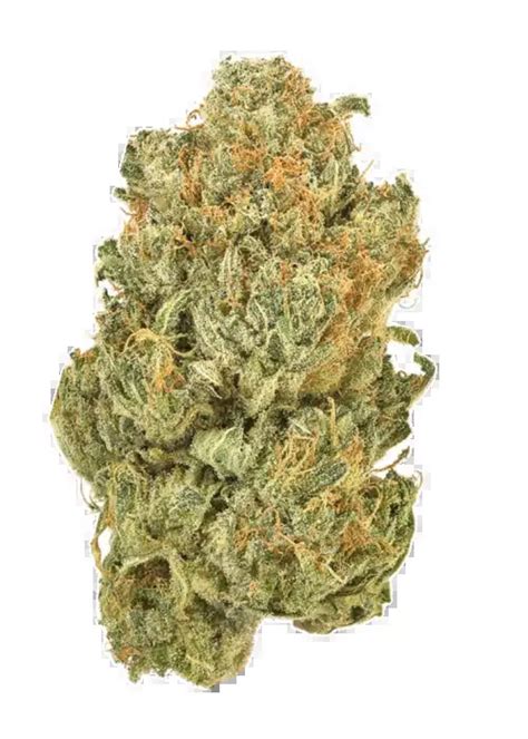 Tahoe Og Cannabis Strain Information Growdiaries