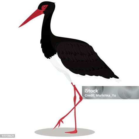 นกการ์ตูนนกกระสาดํา ภาพประกอบสต็อก ดาวน์โหลดรูปภาพตอนนี้ การดูนก การบิน กิจกรรมที่มีการ