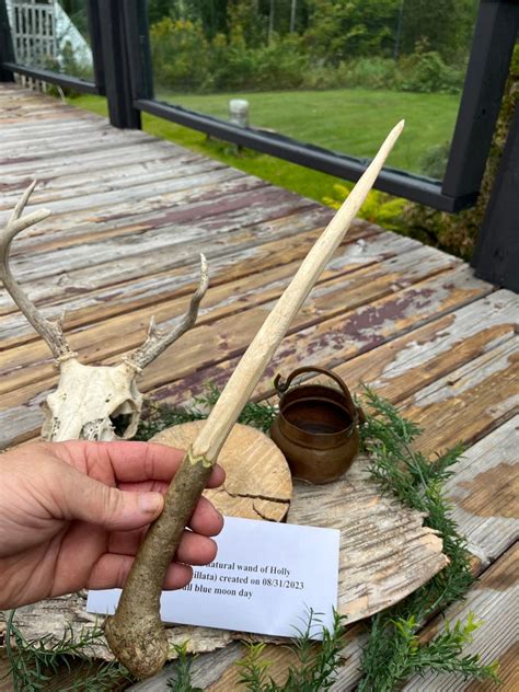 Magic And Rustic Wand Of Natural Natural Winter Holly Stick Ilex