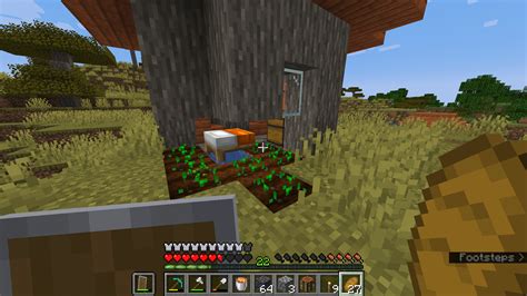 Check Out This Weird Bug R Minecraft