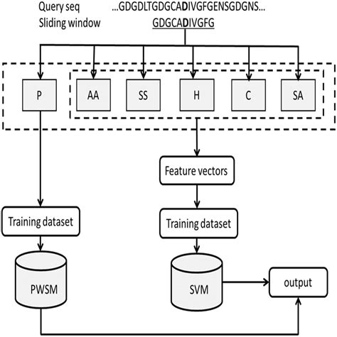 Schematic Diagram Of The Proposed Method Download Scientific Diagram