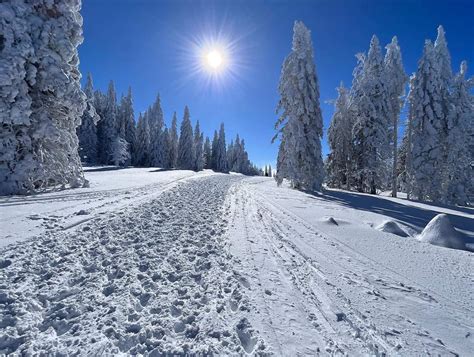 Foto Zasnežena Rogla In Lovrenška Jezera Neurje