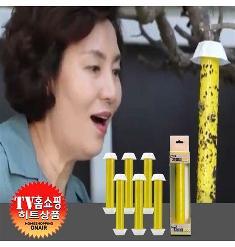 자바바 365 파리 끈끈이 6통 초파리 벌레 모기 퇴치기 티몬