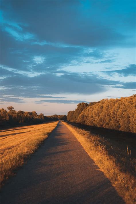 무료 사진 빈 도 대상 알 수 없는 시골 농촌 풍경 자연 새벽 관점
