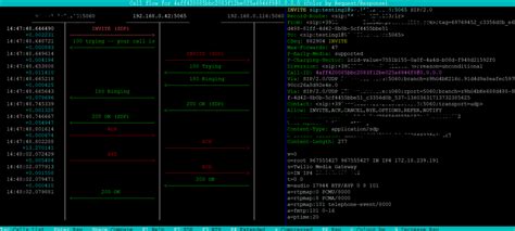 Roberto Lucchetti Using Sngrep