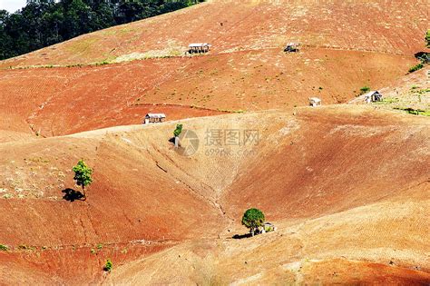 毁林树干木头风景绿色环境高度高山森林植被日志高清图片下载 正版图片322100997 摄图网