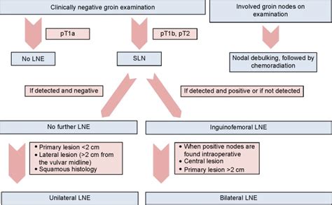 Vulvar Cancer Epidemiology Clinical Presentation And Management Options Abstract Europe PMC
