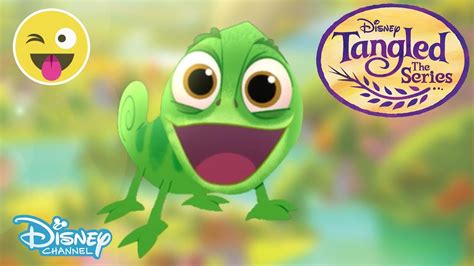 Pascal Tangled Cute