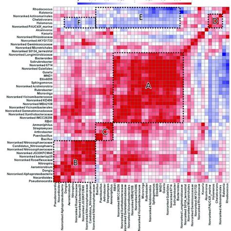 Heatmap Correlation Distance Matrix Among All The Recorded Species Download Scientific Diagram