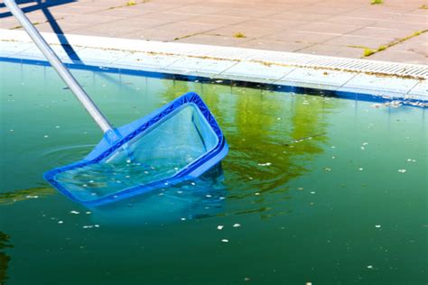 Mastering The Art Of Pool Maintenance Your Comprehensive Guide To Preventing And Eliminating