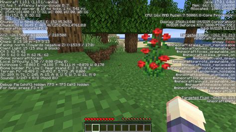 insanely low fps with 7 5800x cpu and 3080 r minecraft