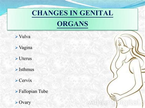 Maternal Adaptation During Pregnancy Pptx Pregnancy Reproductive Health