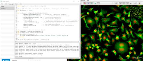 Cellpose In Qupath Qupath Extension Cellpose Announcements Image