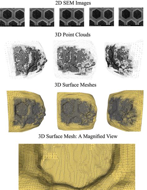5 Qualitative Visualization Of The Proposed 3d Sem Surface Download Scientific Diagram