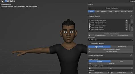 Setup Faceit Documentation